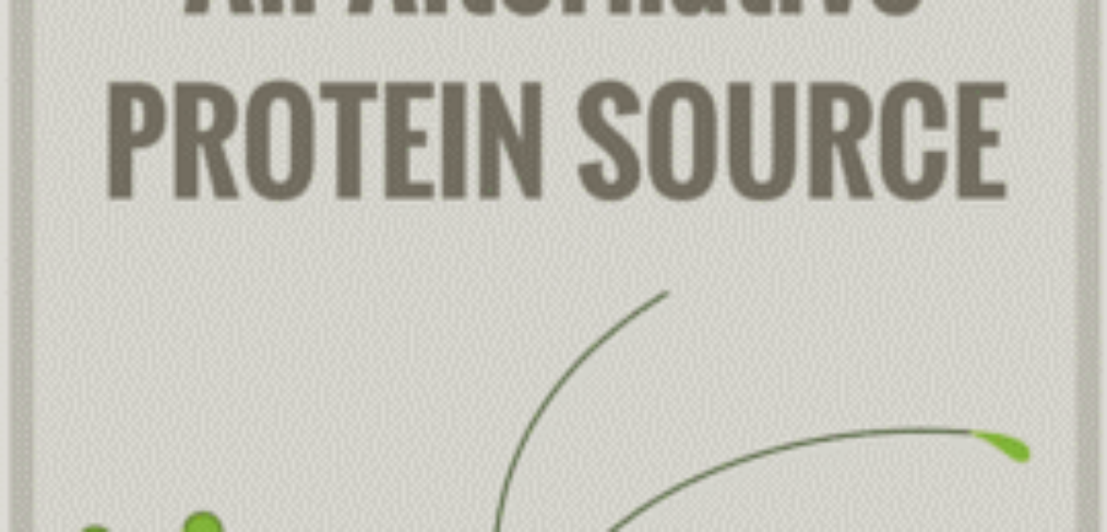 INSECT PROTEIN – FOODS NEXT PROTEIN SOURCE! | Food Distribution Guy